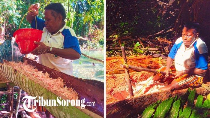 5 Tahapan Pengolahan Sagu Tradisional: Dari Menokok hingga Mengendapkan ...