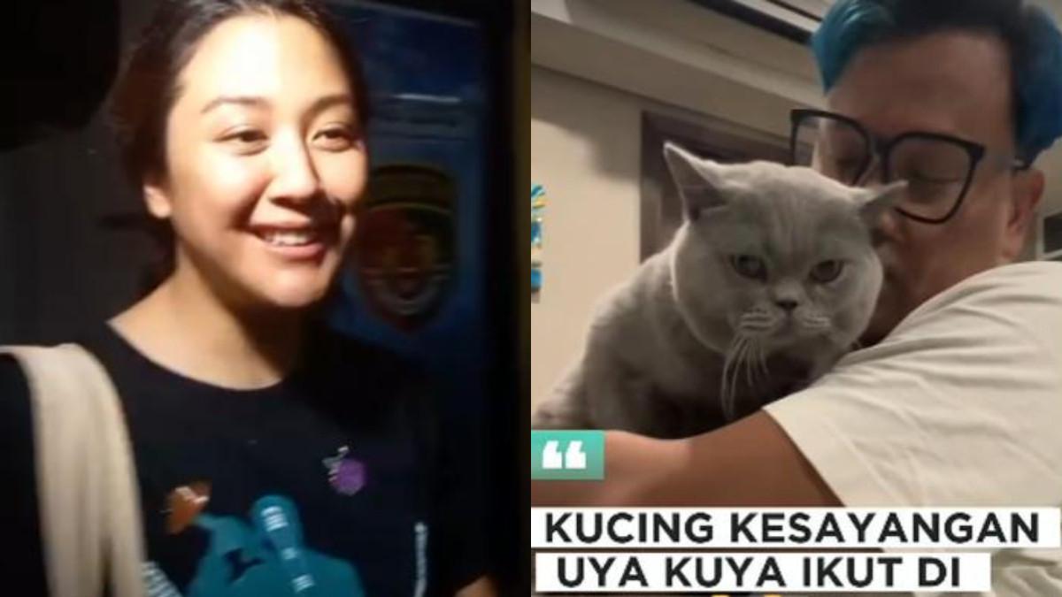 Nasib 5 Kucing Uya Kuya, Akhirnya Berdamai dengan Sherina Munaf ...