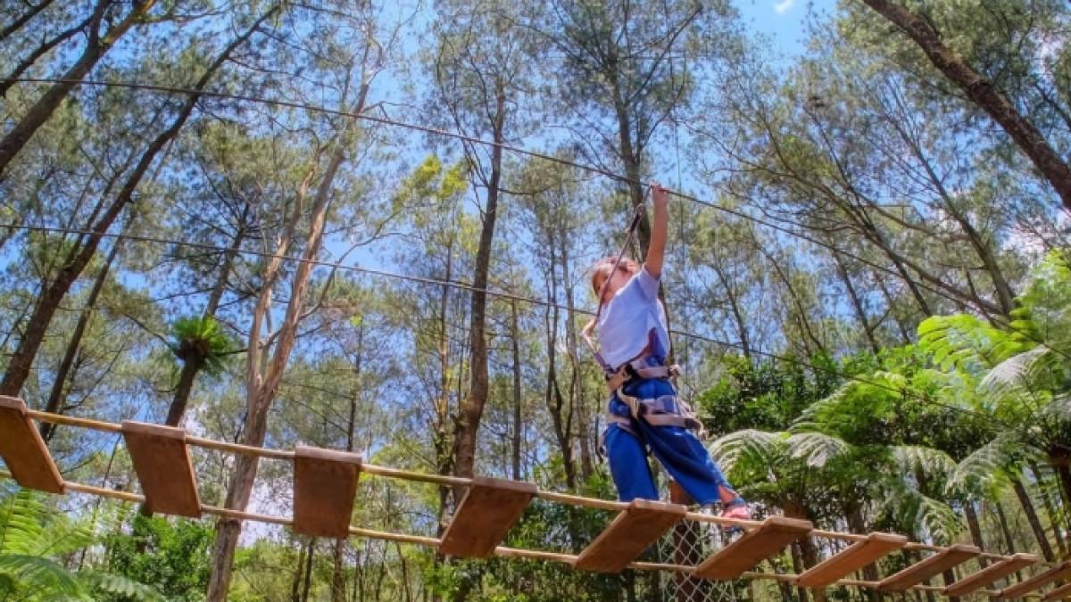 Mau Healing di Alam? Ini Harga Tiket Kopeng Treetop 2026 di Semarang ...