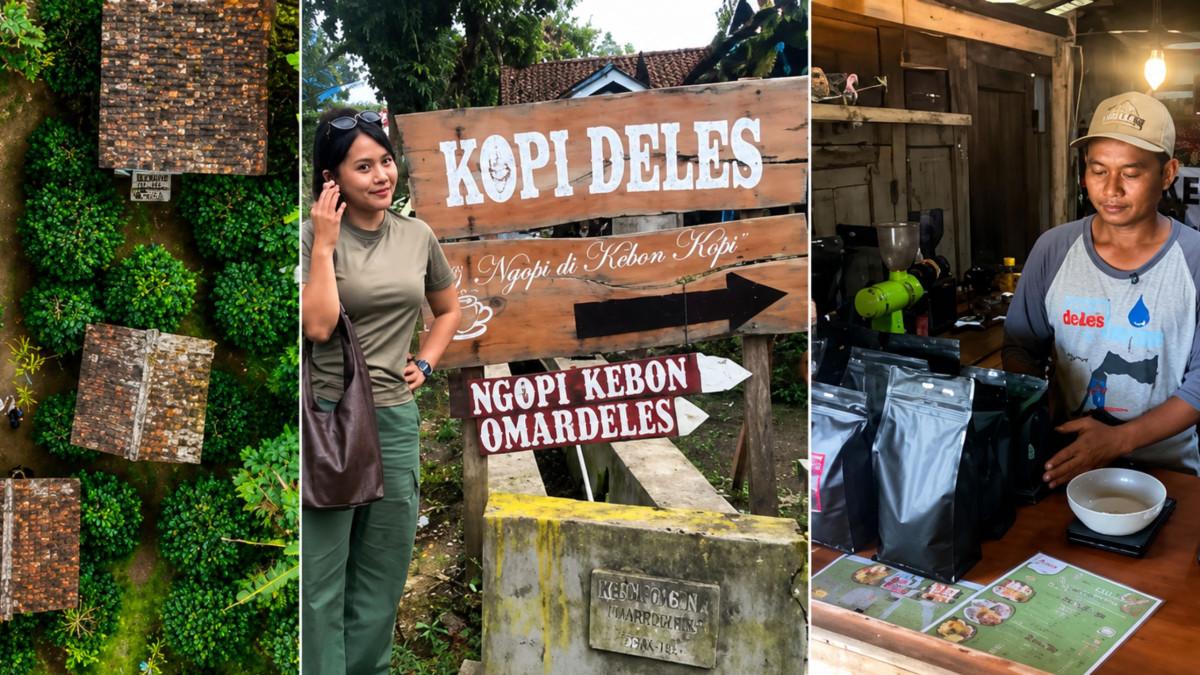 Kopi Kebon Deles, Hidden Gem di Lereng Merapi yang Tawarkan Sensasi ...