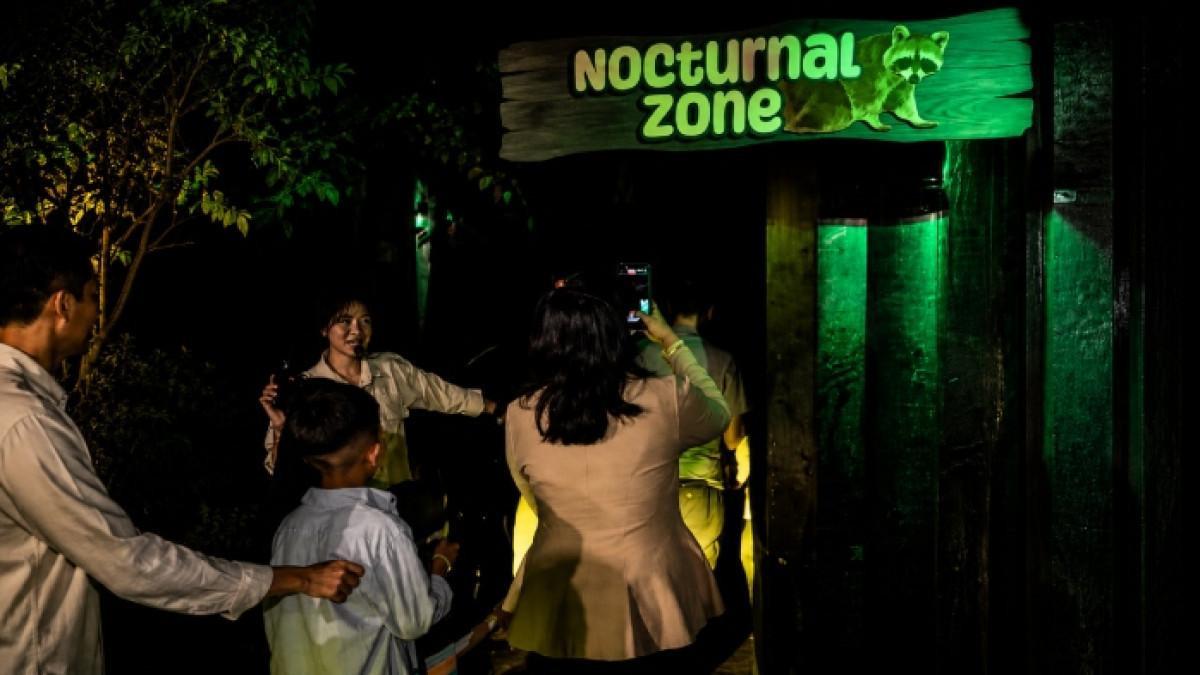 Jelajah Dunia Satwa Nokturnal di DI Yogyakarta, Berikut Harga Tiket ...