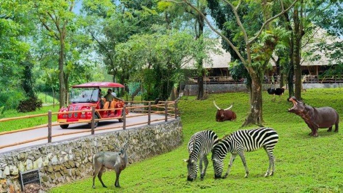 Libur Panjang ke Surakarta, Jawa Tengah? Cek Harga Tiket dan Jadwal ...
