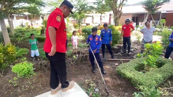 Ular Hitam Berbisa Masuk di Kompleks BTN Al-Iklas Polman, Petugas ...