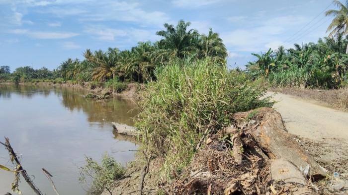 BPBD Mamuju Tengah Ungkap Anggaran Kendala Utama Penanganan Erosi di ...