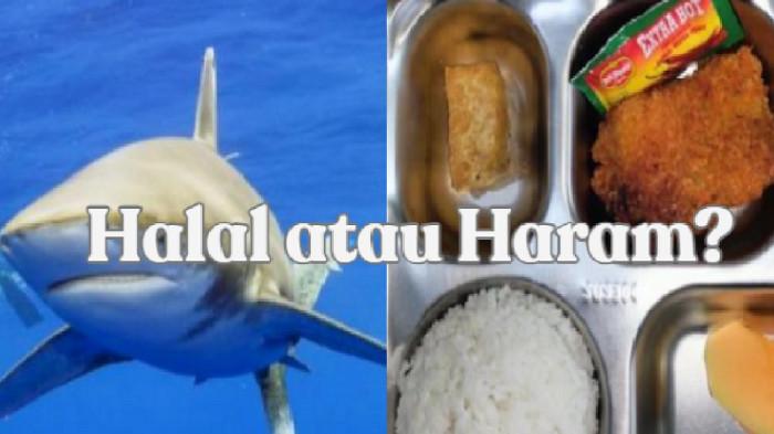 Ikan Hiu Halal atau Haram? Penjelasan Hadis soal Hewan Laut Lengkap ...