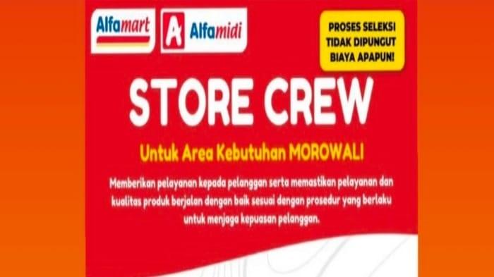 Dibutuhkan 100 Karyawan Alfamidi Posisi Store Crew, Cek Lokasi ...