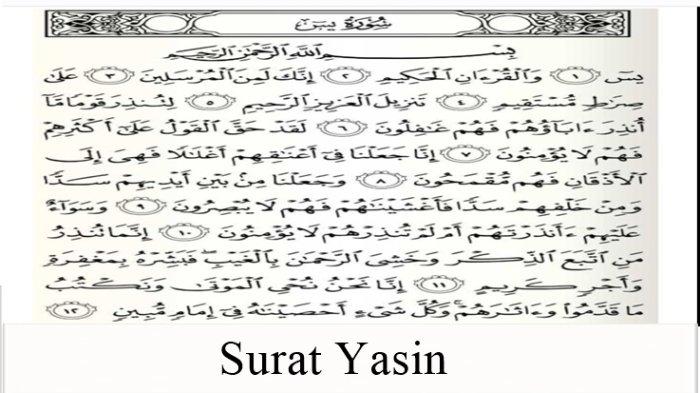 Bacaan Surat Yasin Lengkap Ayat 1-83 Arab, Latin dan Terjemahan Indonesia Online - Tribunsumsel.com
