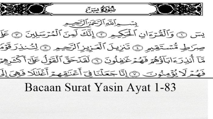 Bacaan Surat Yasin Latin dan Arti, Mudah Dibaca Lengkap 83 Ayat ...