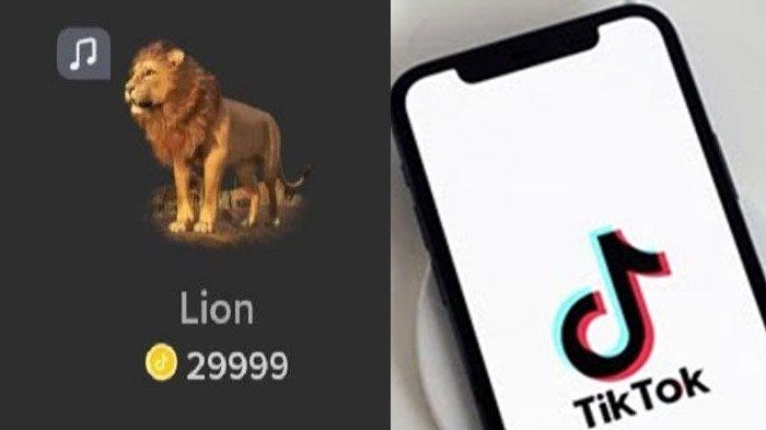 Harga Gift Singa di Tiktok Berapa? Berikut Daftar Harga Gift Tiktok Terbaru 2024 - Tribunsumsel.com