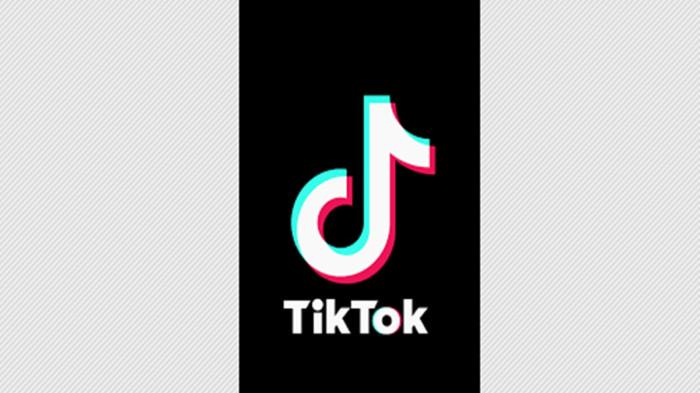 Izin TikTok di Indonesia Dibekukan Sementara, Apa Dampaknya Bagi Pengguna ? - Tribunsumsel.com