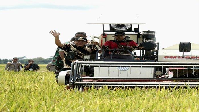 Serentak di 14 Provinsi, Bupati Lanosin Hadiri Panen Raya Padi Seluas 2,5 Hektar di OKU Timur ...