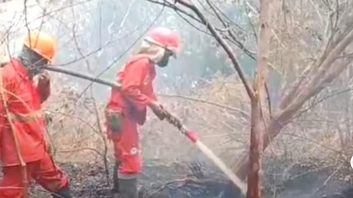 Diguyur Hujan Deras, Sebagian Titik Karhutla di Desa Jungkal dan ...