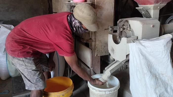 Harga Beras Lokal di Musi Rawas Stabil, Jadi Primadona Pasca Heboh ...
