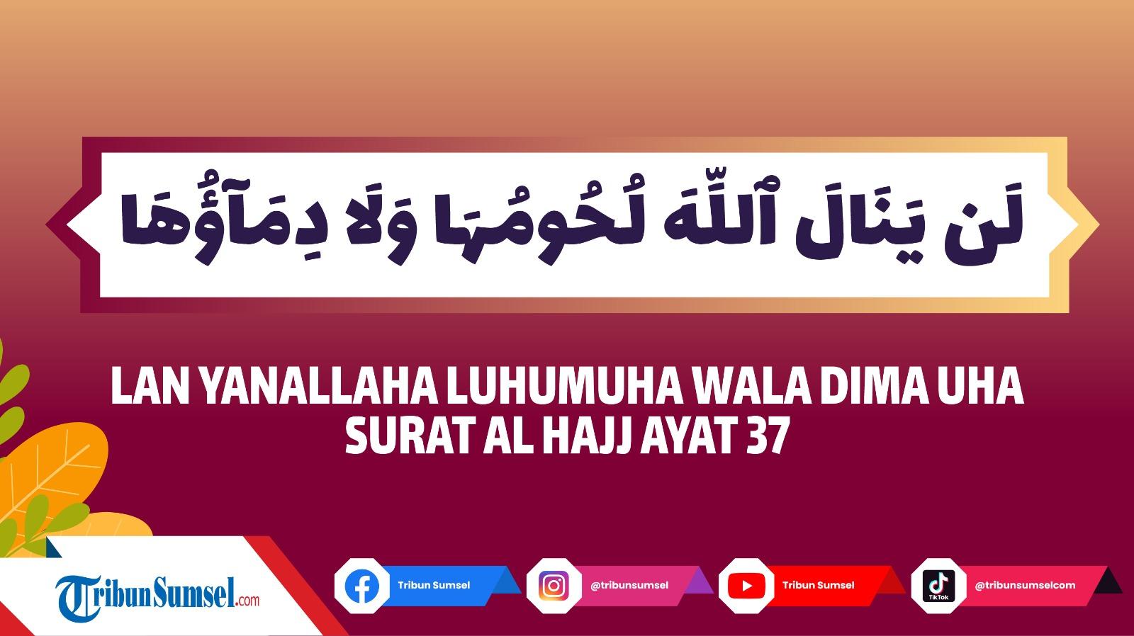 Arti Lan Yanallaha Luhumuha, Surat Al Hajj Ayat 37, Bukanlah Darah dan Daging yang Sampai tapi ...