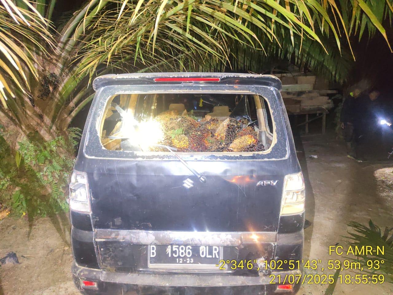 Kepergok Curi Sawit, Warga Muratara Ditembak Polisi, Massa Marah dan Cari yang Menembak ...