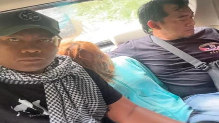 VIDEO Sosok Putri Wanita Berambut Pirang, Ikut Ditangkap Bersama Pelaku ...