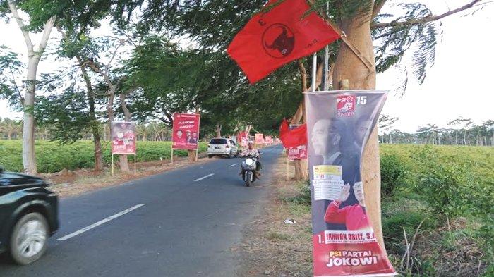 Perang Baliho-Bendera PSI dan PDIP Sambut Kedatangan Ketum PSI Kaesang ...