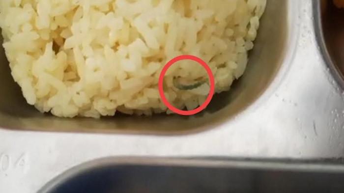 Ada Ulat Berkeliaran Dalam MBG Siswa SD di Bangkalan, Kasus Kedua Setelah Menu Berbau Amis ...