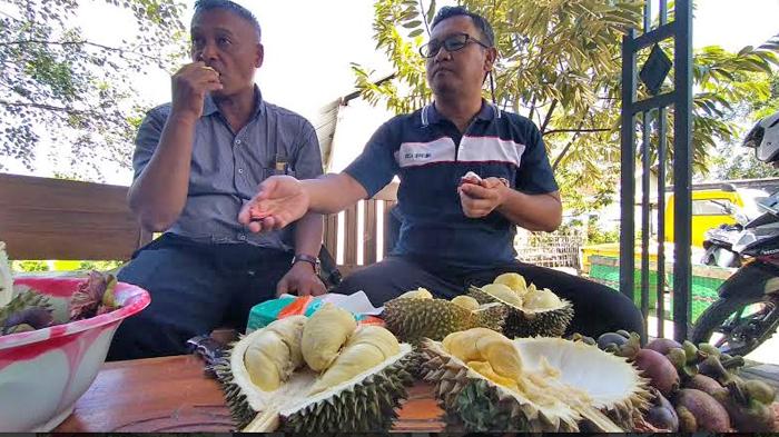 Mengenal Durian Kawuk Khas Kabupaten Madiun, Durian Bertekstur Lembut ...