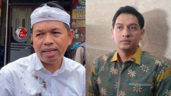 Pantas Dedi Mulyadi Minta Lucky Hakim Basmi Tikus Pakai Burung Hantu Selain Ular, Ini Manfaatnya ...
