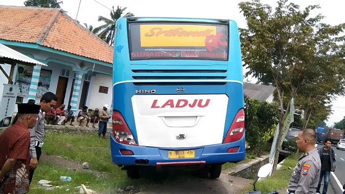 Kejadian di Lumajang, Sopir Bus Ladju Meninggal Saat Mengemudi Hingga ...