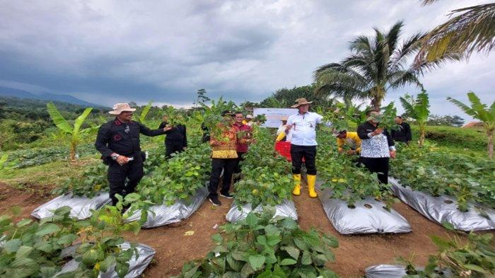 Panen Raya Edamame di Kebun SAE Ngajum Lapas Malang, Hasilkan 5 Kuintal ...