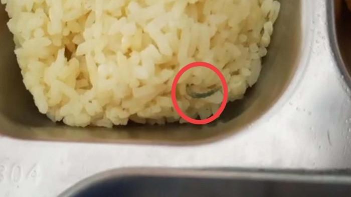 VIRAL Lagi Menu MBG di Bangkalan, Kini Muncul Video Ulat pada Menu MBG Siswa SD Bumi Anyar ...