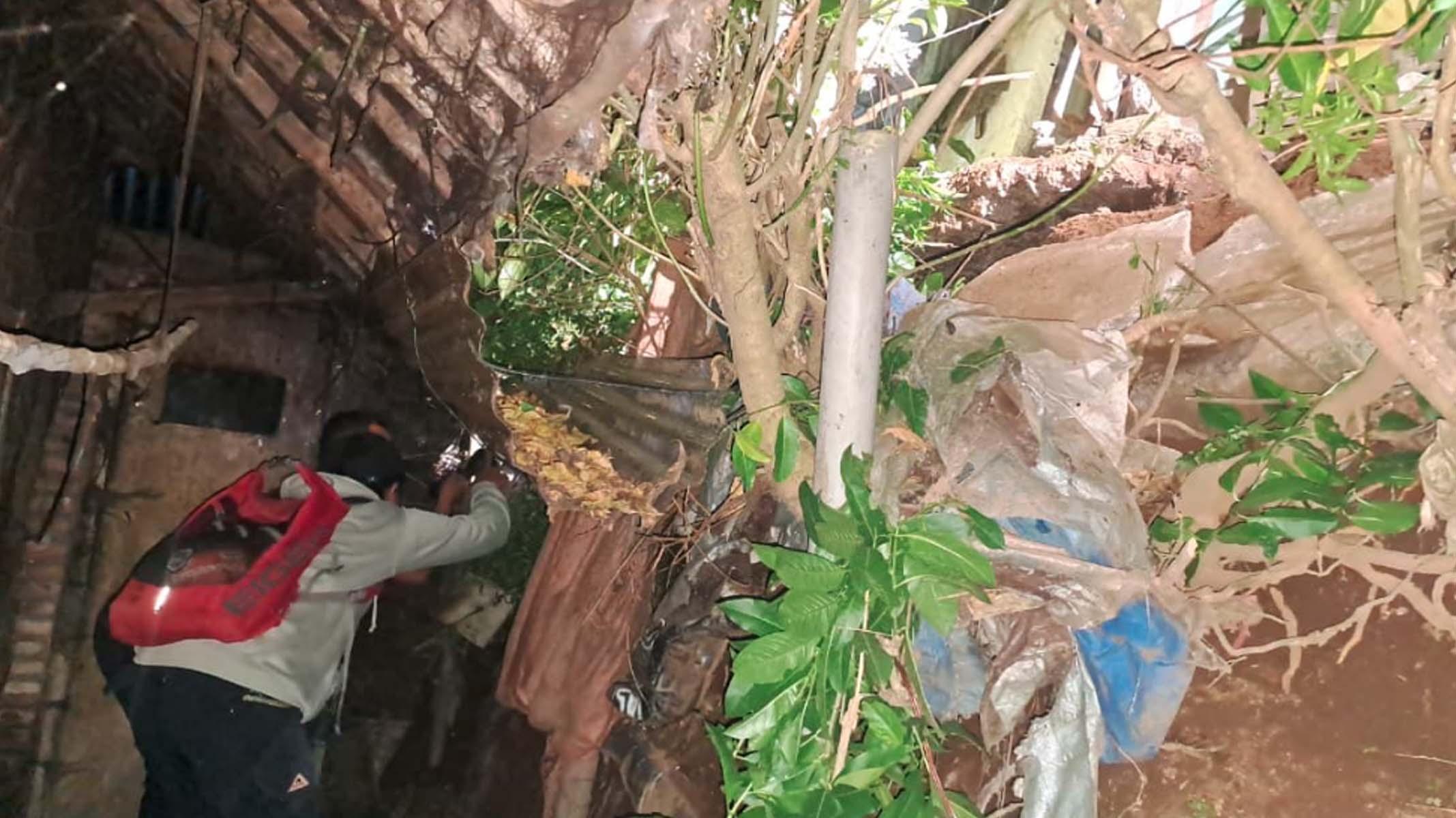 Plengsengan Non Teknis di Sumberbrantas Kota Batu Longsor, Pondasi ...