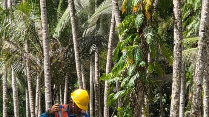 PLN UP3 Tobelo Tuntaskan Pemulihan Kelistrikan Pascabanjir dan Longsor ...
