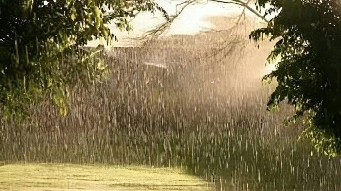 Kemarau Basah Mungkin Terjadi Akibat La Nina, BMKG Imbau Masyarakat Toraja Waspada Bencana Alam ...