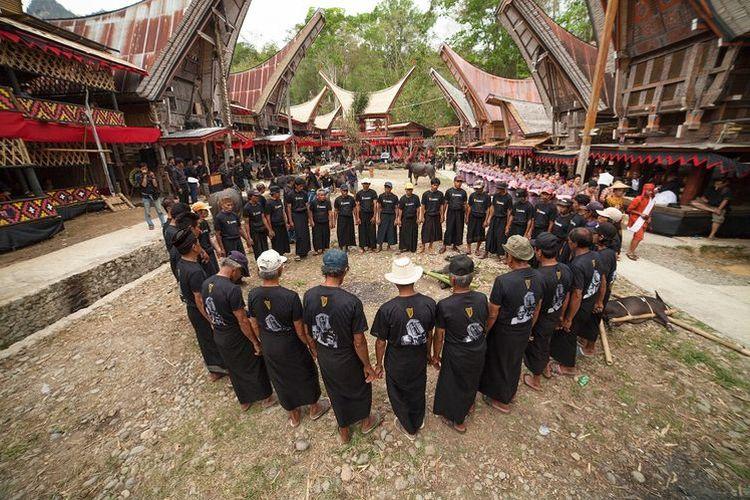 Begini Prosesi hingga Biaya Upacara Pemakaman Adat Toraja 'Rambu Solo ...