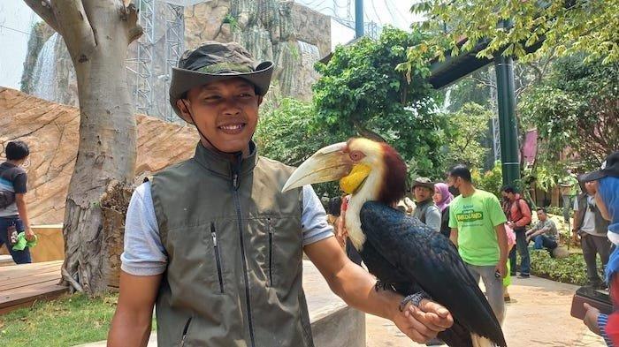 Harga Tiket Masuk Jakarta Bird Land Terbaru 2026, Promo Mulai Rp 39 ...