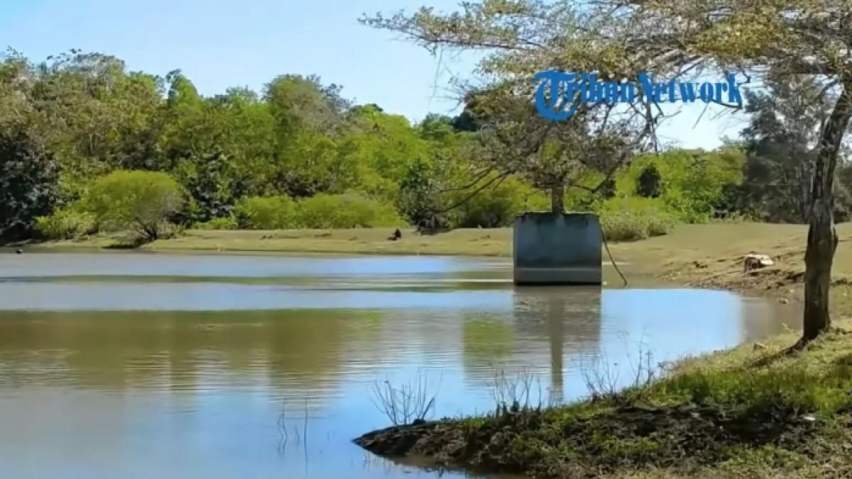 Itinerary Embung Oelomin, Wisata Gratis di Kupang untuk Liburan Akhir ...