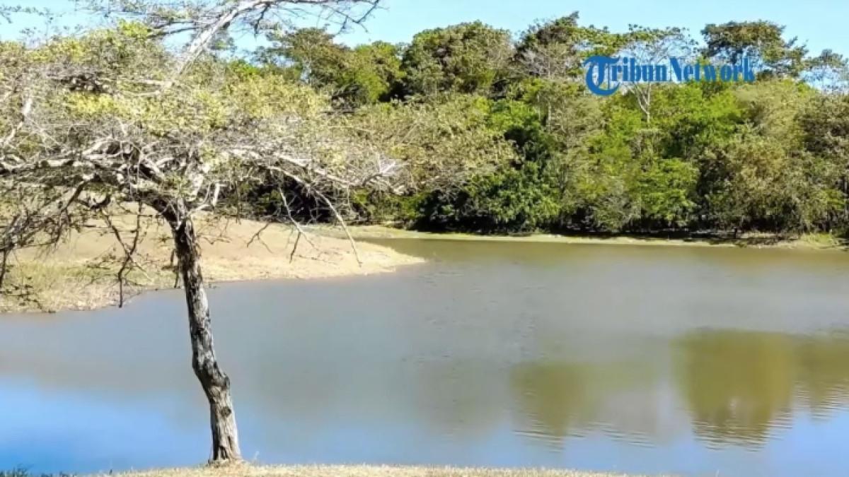Itinerary Embung Oelomin, Wisata Gratis di Kupang untuk Liburan Akhir ...