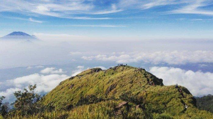 Itinerary Pendakian Tektok Gunung Ungaran via Perantunan, Durasi 4 Jam ...