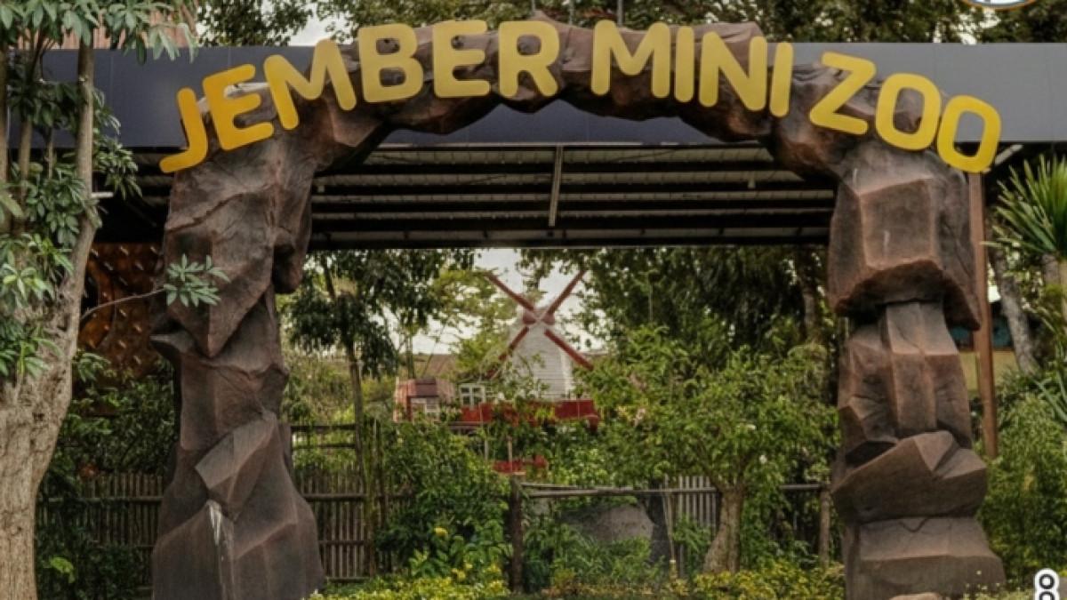 Harga Tiket Masuk Jember Mini Zoo, Ada Promo Spesial Imlek 2026 ...