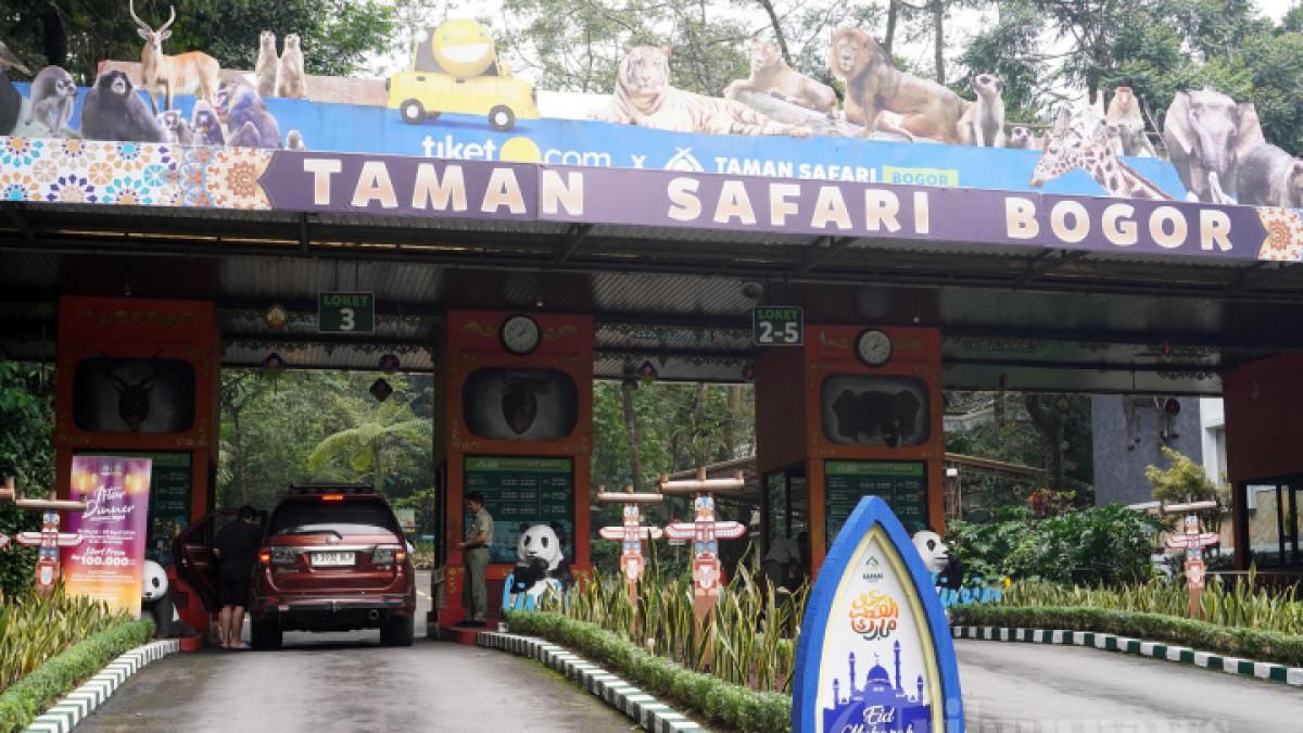 Tiket Masuk Taman Safari Bogor Terbaru Maret 2026, Cek Rute dari ...