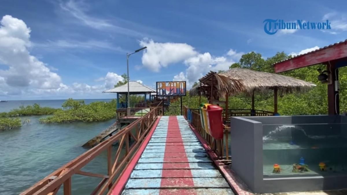 Itinerary Mangrove Desa Budo, Minahasa: Healing Berdua Bujet Rp 50 Ribu ...