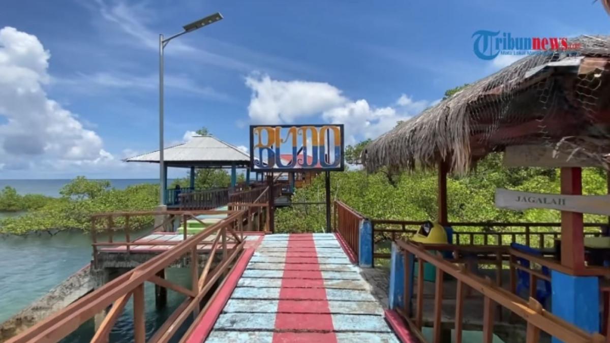Itinerary Mangrove Desa Budo, Minahasa: Healing Berdua Bujet Rp 50 Ribu ...