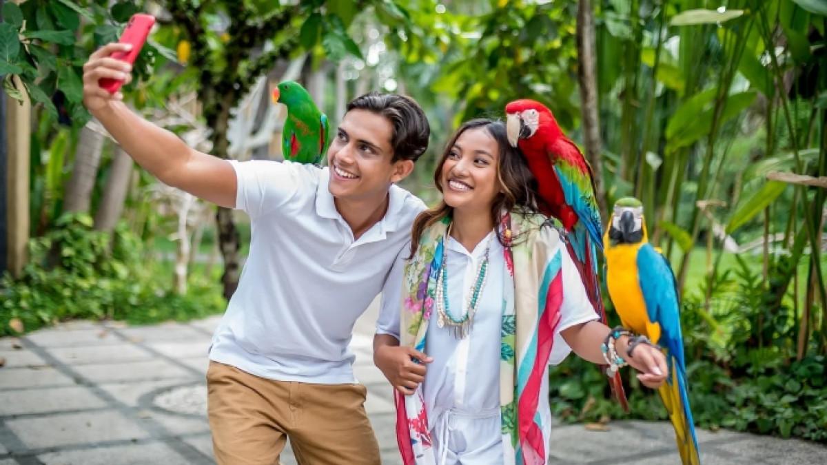 Harga Tiket Masuk Bali Bird Park, Turis Lokal Dapat Diskon 45 Persen ...