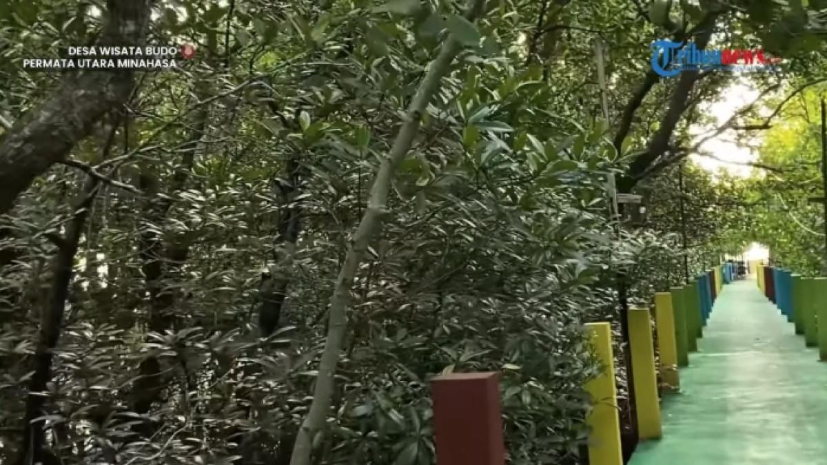Itinerary Desa Wisata Budo, Trip Romantis dengan Pasangan Bujet Rp 175 ...
