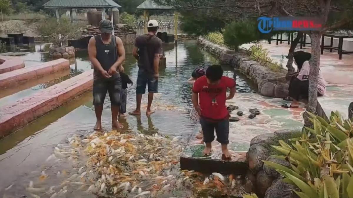 Itinerary Taman BMW Bangka Barat, Liburan Keluarga Bujet Rp 155 Ribu ...