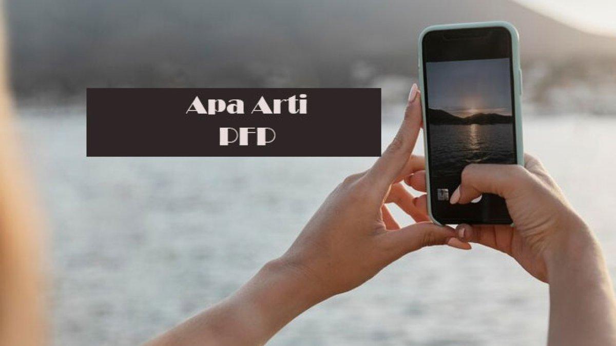 Apa Arti PFP Istilah Viral TikTok? Singkatan Sering Muncul di Sosmed ...