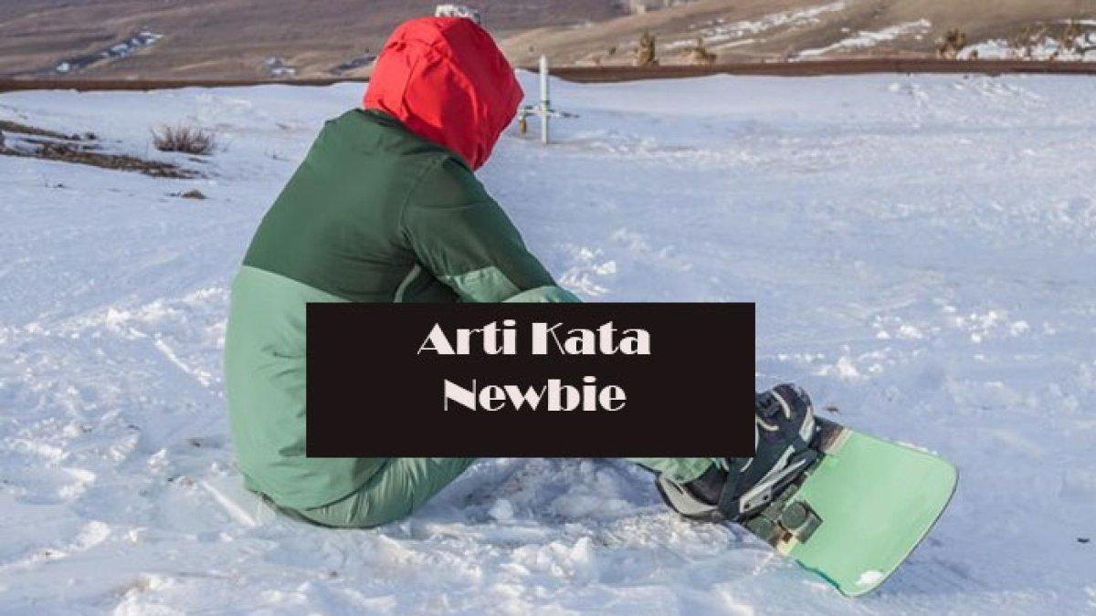 Apa Arti Newbie Istilah Viral TikTok? Kata Bahasa Inggris Sering Dipakai Anak Muda, Ini Maknanya ...