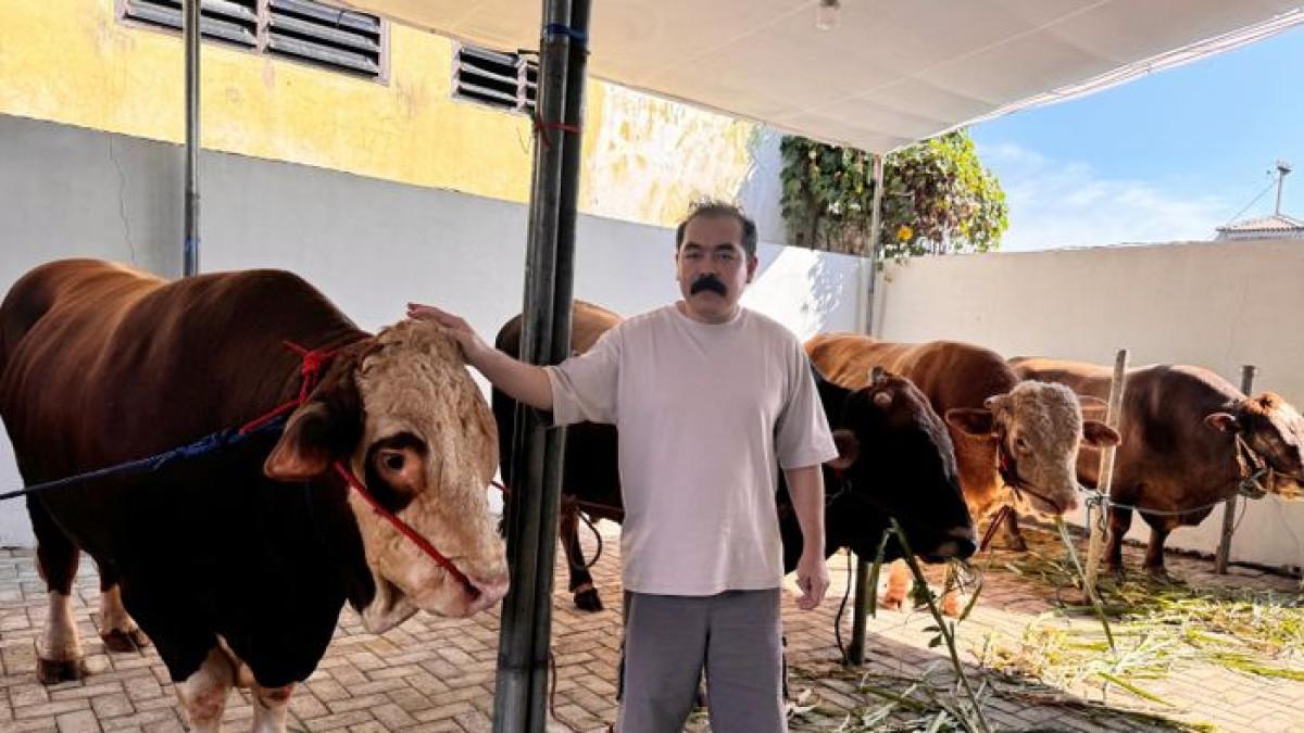 Intip Deretan Sapi Kurban Inul Daratista untuk Idul Adha 2026 ...
