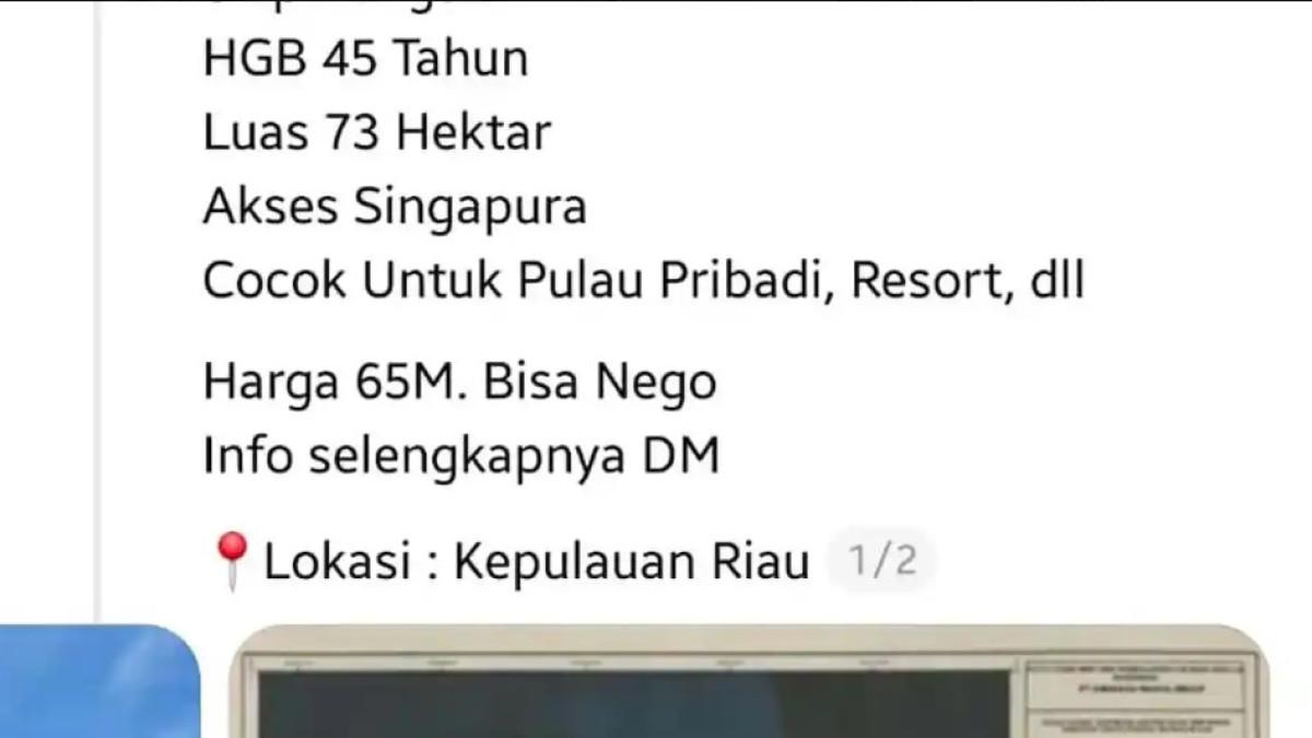 Viral Iklan Jual Pulau Rp 65 Miliar di Kepulauan Riau, Pemerintah ...