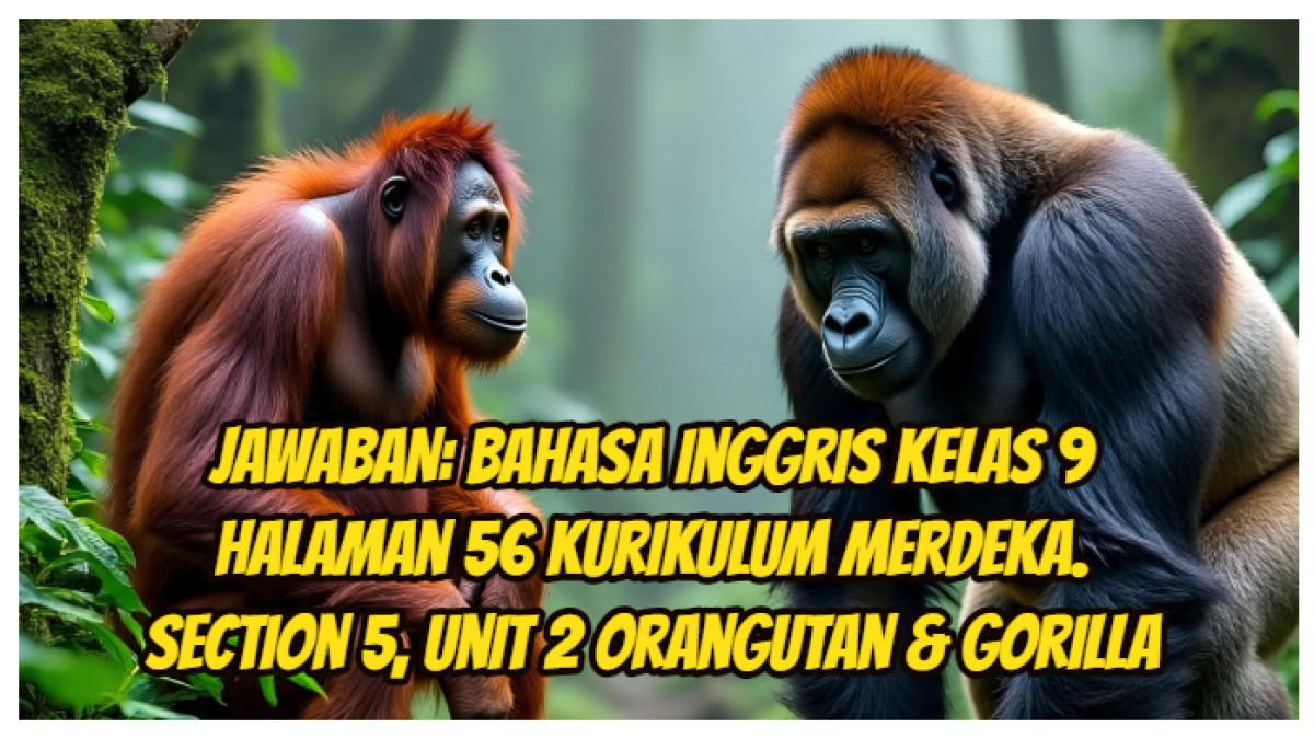 JAWABAN: Bahasa Inggris Kelas 9 Halaman 56 Kurikulum Merdeka. Section 5 ...