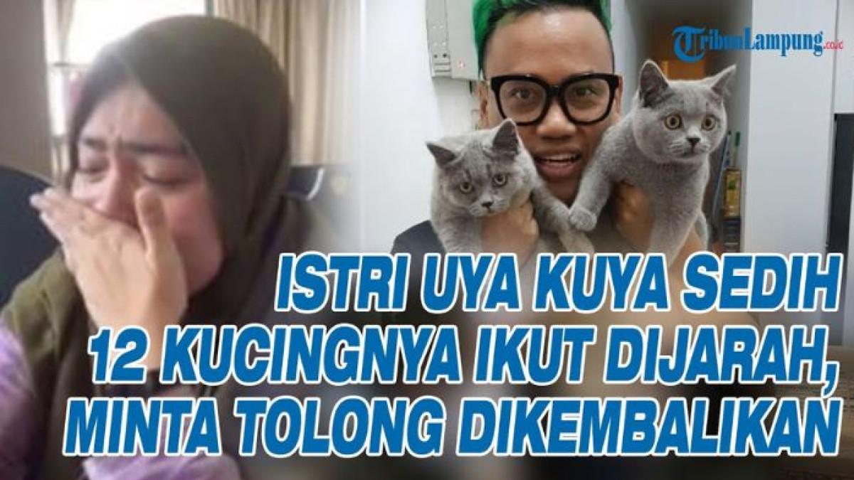 Rumah Dijarah Massa, Uya Kuya Pasrah: Yang Penting Kucing-Kucing Kita ...