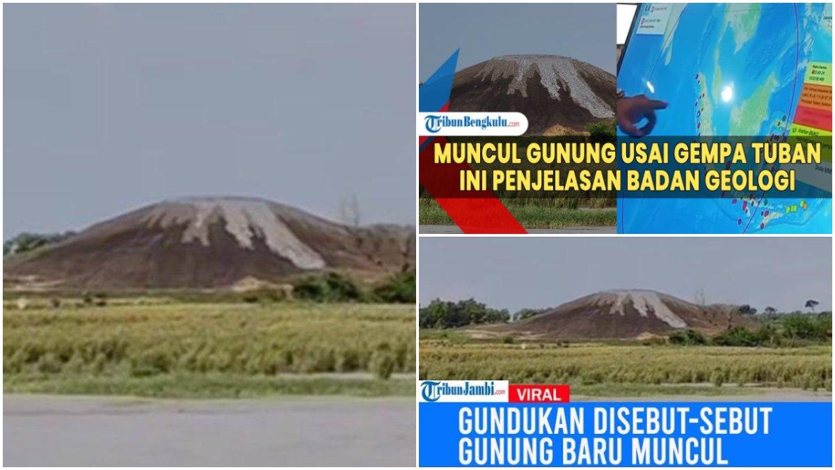 Fenomena Viral Gunung Baru Muncul di Grobogan usai Gempa Tuban, PVMBG ...