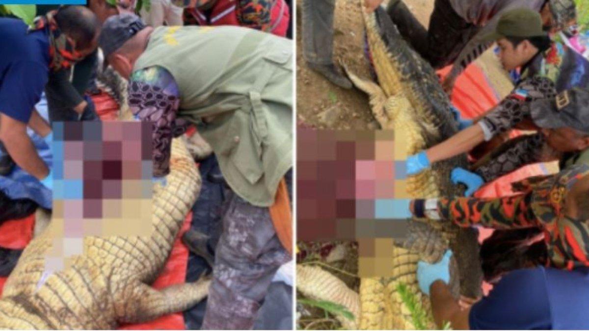 GANAS! Buaya Mangsa Nelayan, Ditembak Mati, Isi Perut Bikin Syok ...